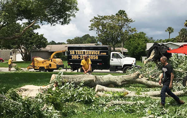 About Us - SB Tree Service : SB Tree Service